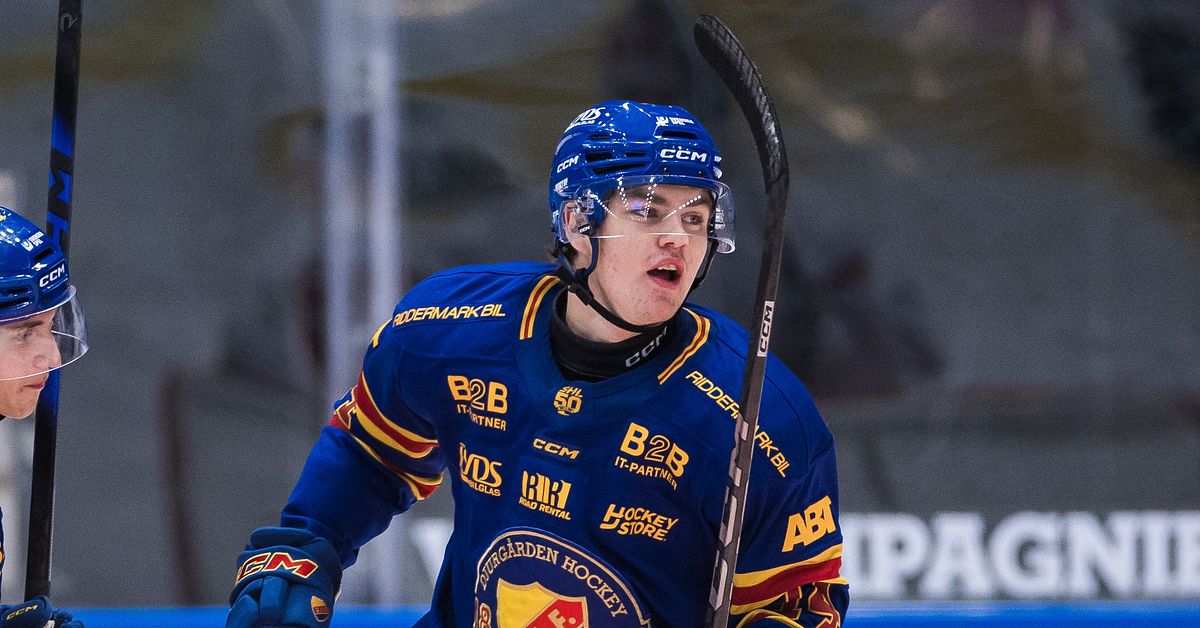 Ishockey: Hattrick av Djurgårdens talang Anton Frondell mot Malmö | SVT Sport