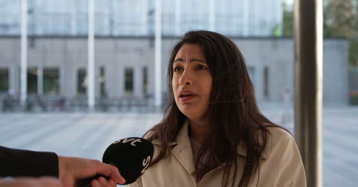 Nooshi Dadgostar: Bristande omdöme – Partiledardebatt 2025 i SVT:s ...