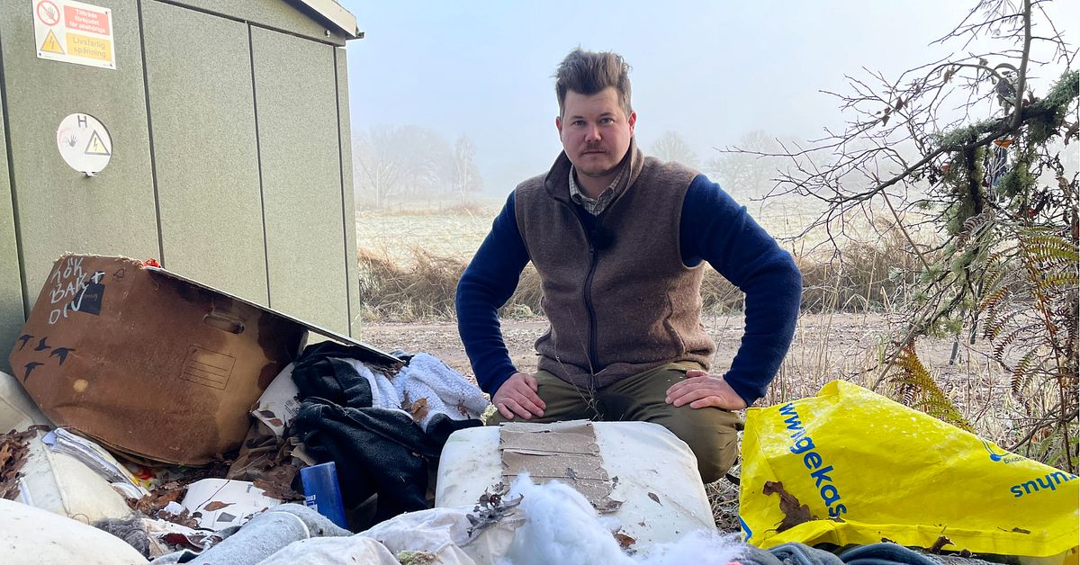 Dumpat avfall ökar – och korna betalar med livet | SVT Nyheter