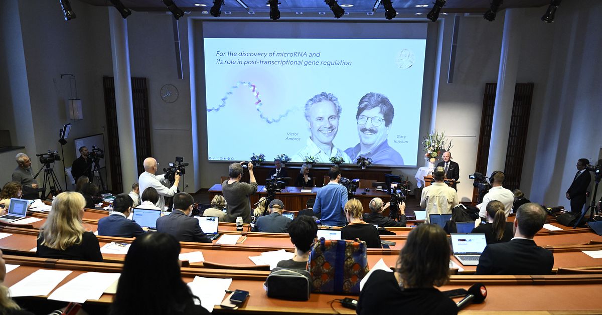 Victor Ambros och Gary Ruvkun får Nobelpriset 2024 i medicin – upptäckte mikroRNA | SVT Nyheter