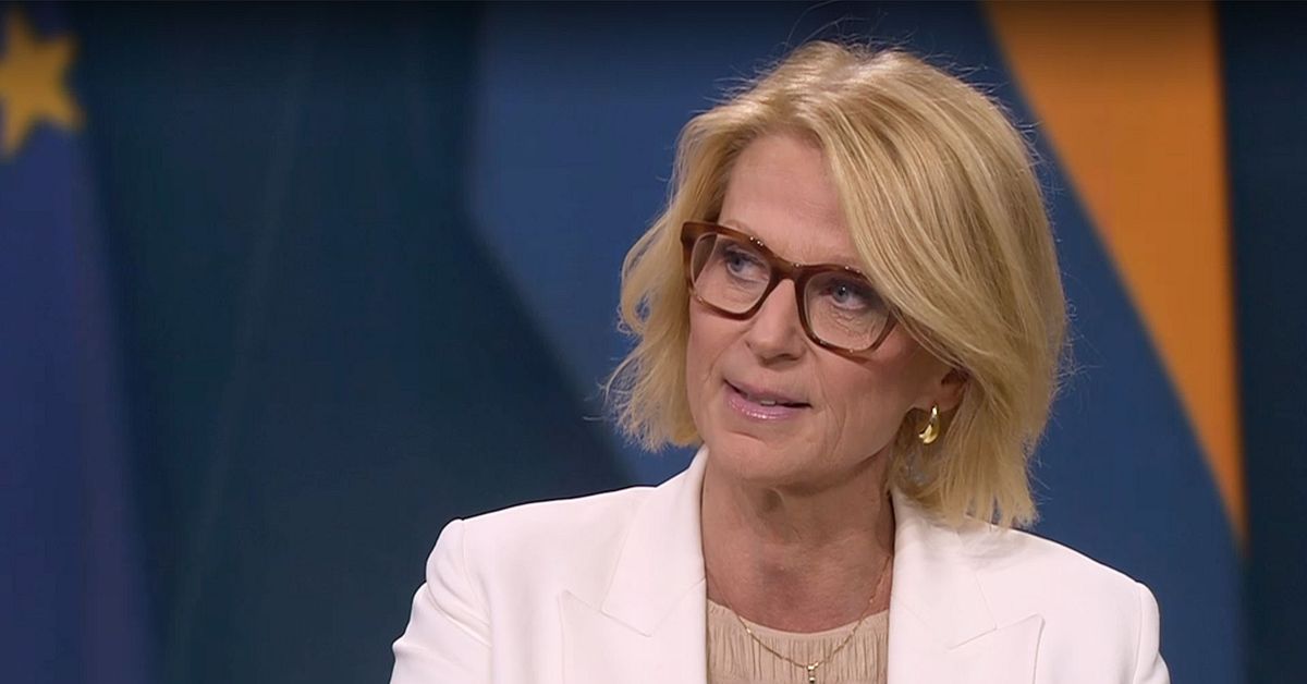 Svantesson (M) efter kritiken mot vårbudgeten: ”Bara klagomål” | SVT ...