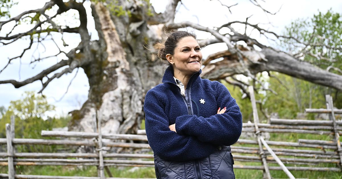 Victoria | SVT Nyheter