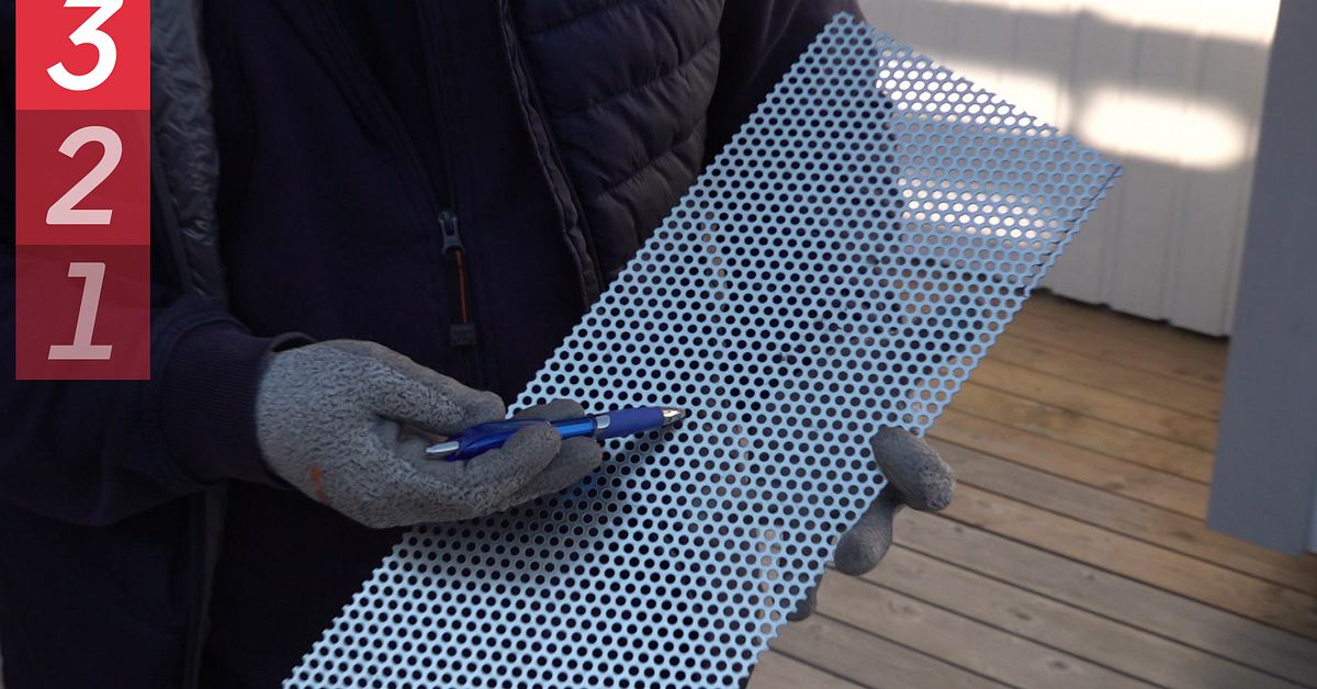 Lista: Så skyddar du hemmet från råttor och möss | SVT Nyheter