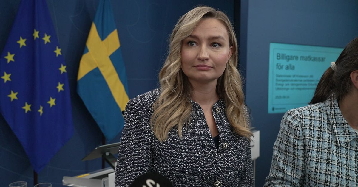 Amerikanska företaget Lyten skrev citat åt Ebba Busch | SVT Nyheter