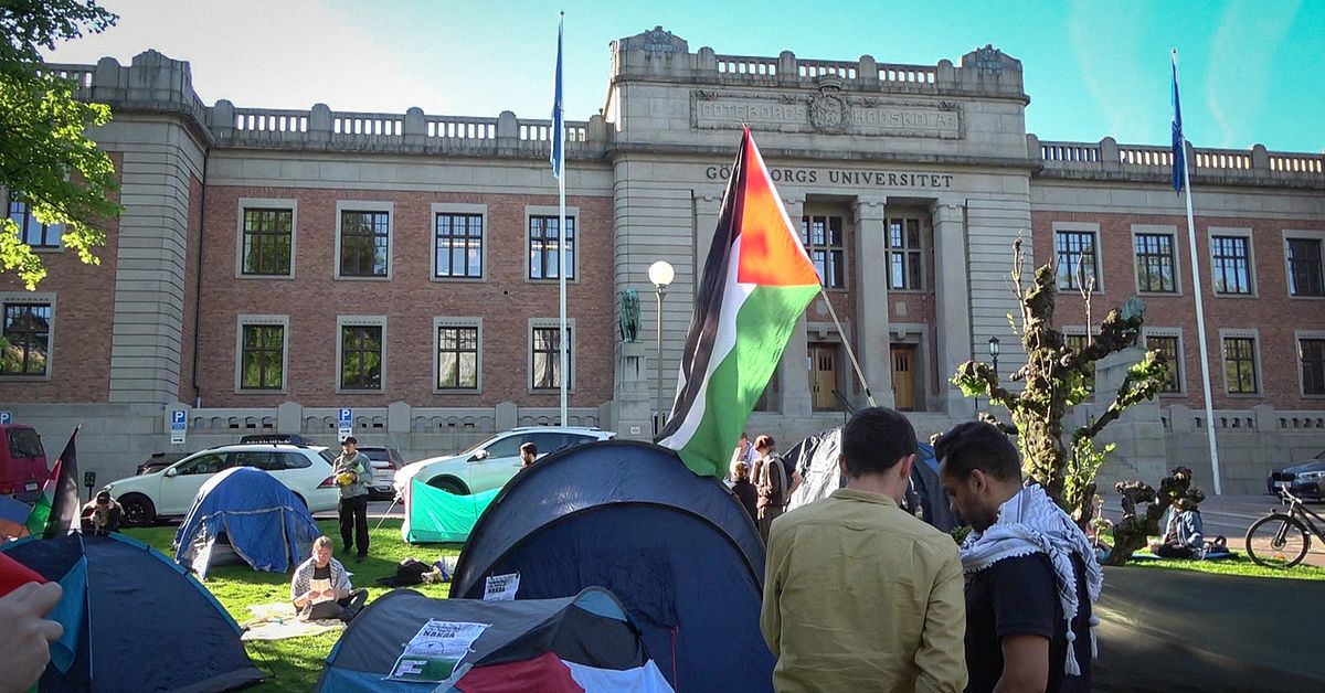 200 anställda vid Göteborgs universitet stöttar studentprotester mot ...