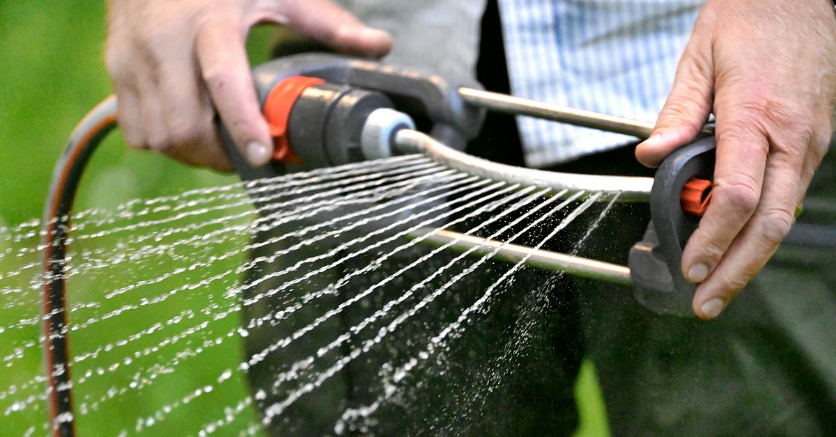 Uppmaningen i torkan: ”Spara vatten” | SVT Nyheter