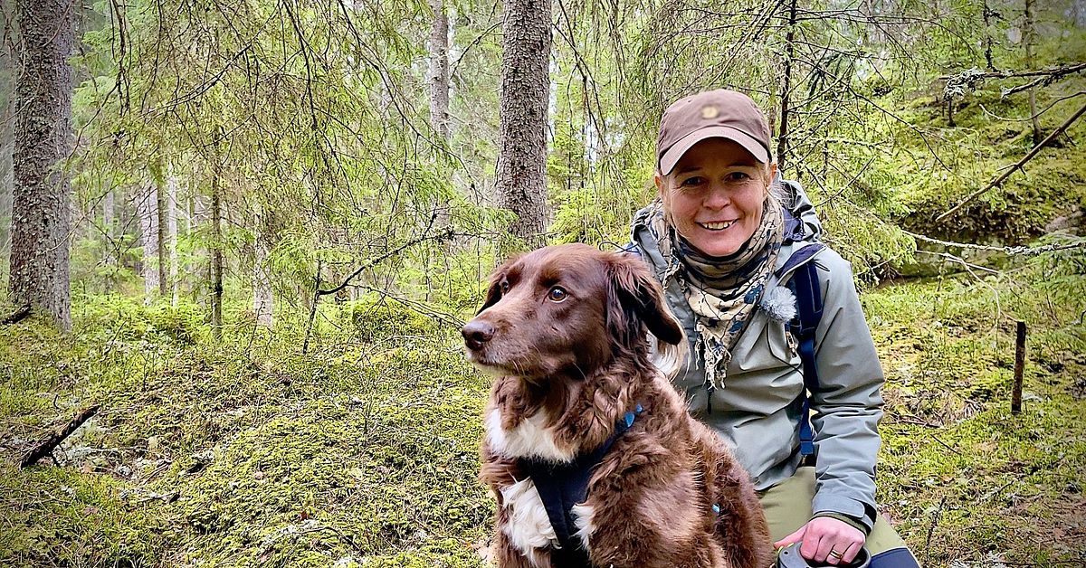 Sällsynt orkidé kan stoppa skogsavverkning | SVT Nyheter
