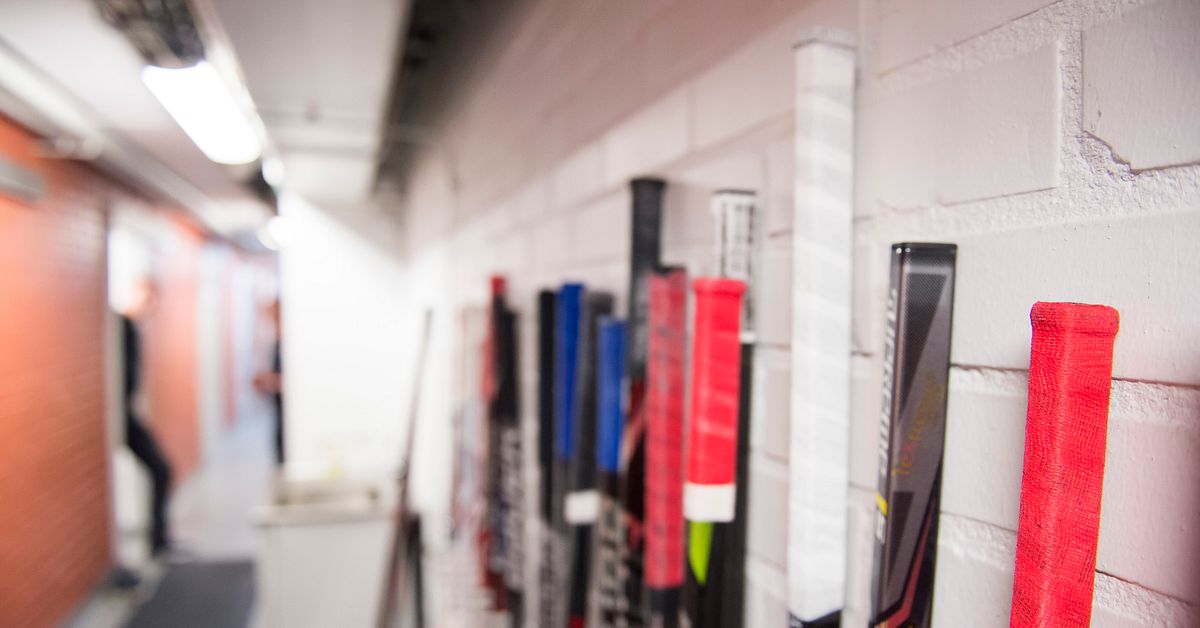 Hockeyspelare från Södertälje åtalas för bidragsbrott | SVT Nyheter
