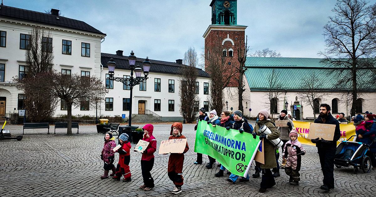 Rebellmammor tågade för klimatet i Nyköping: ”Väldigt oroliga för ...