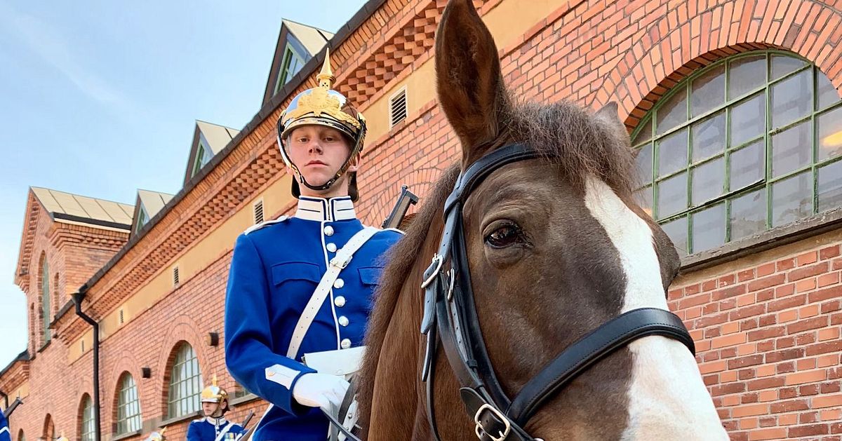 Sigge, 25, gjorde lumpen mot sin vilja – allt fler kallas in | SVT Nyheter