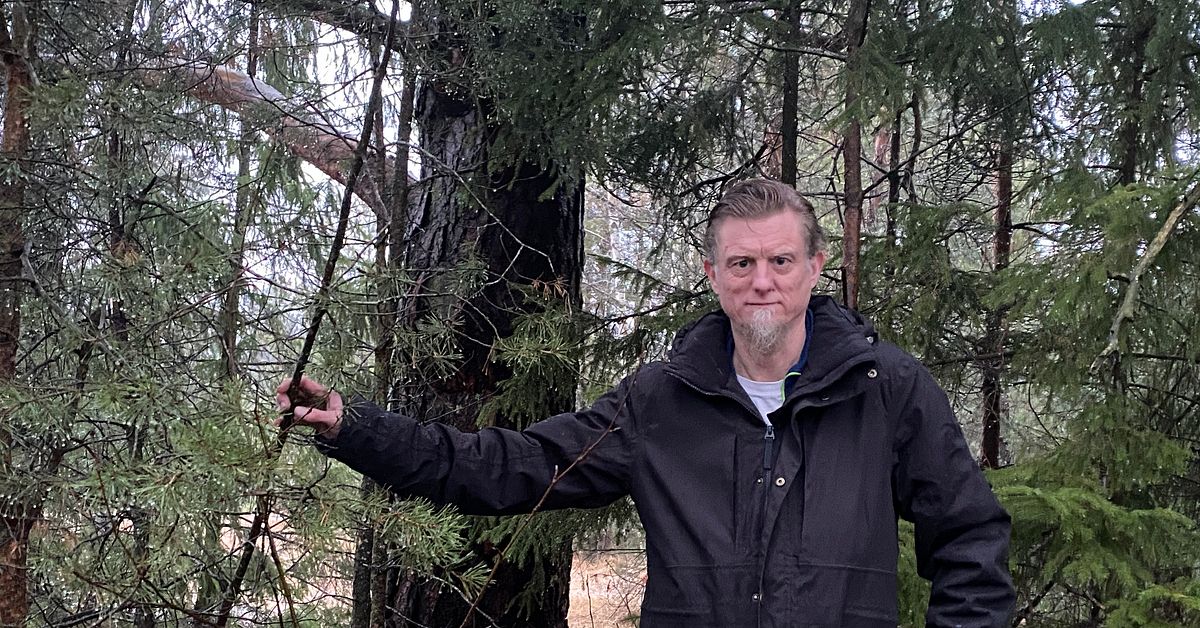 Mats rasar mot misskött gravfält utanför Sala: ”Hela högen kan ...