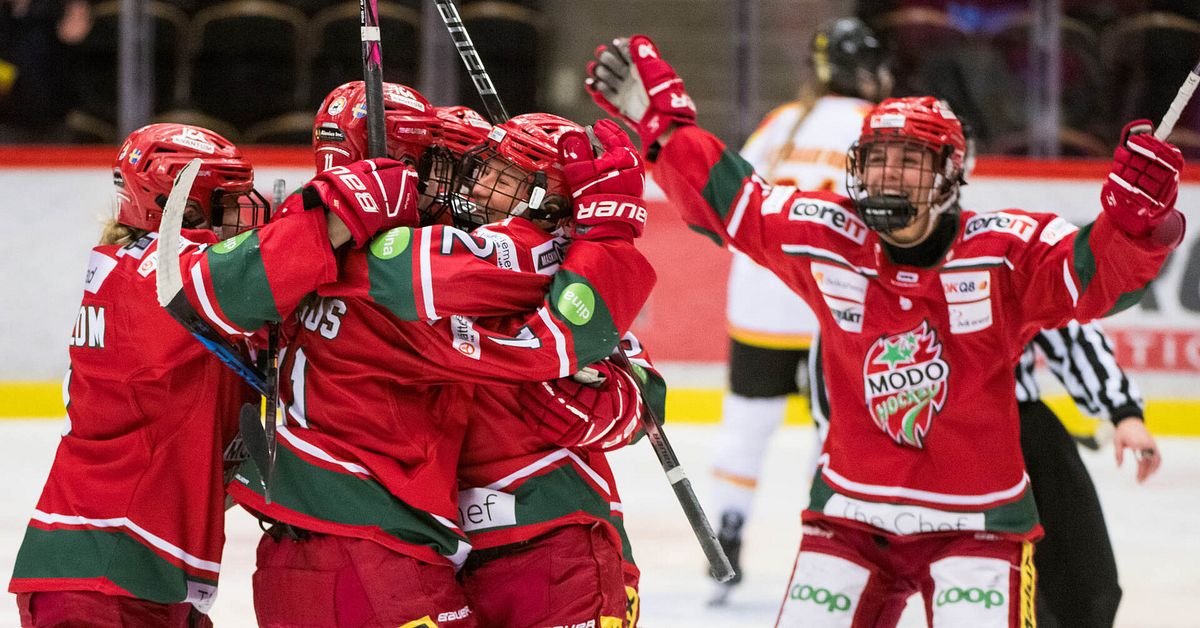 Ishockey: Modo till SM-final i SDHL efter seger mot Brynäs | SVT Sport