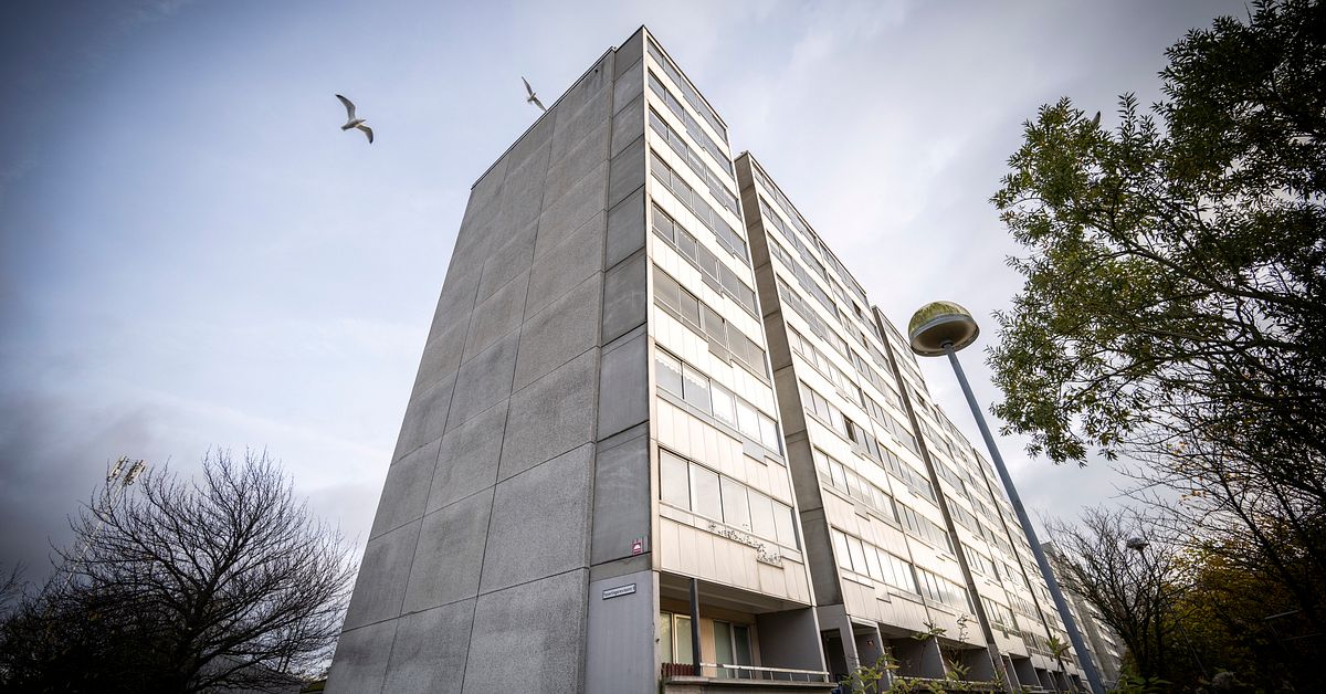 Malmö kräver tvångsförvaltning av misskött förening | SVT Nyheter