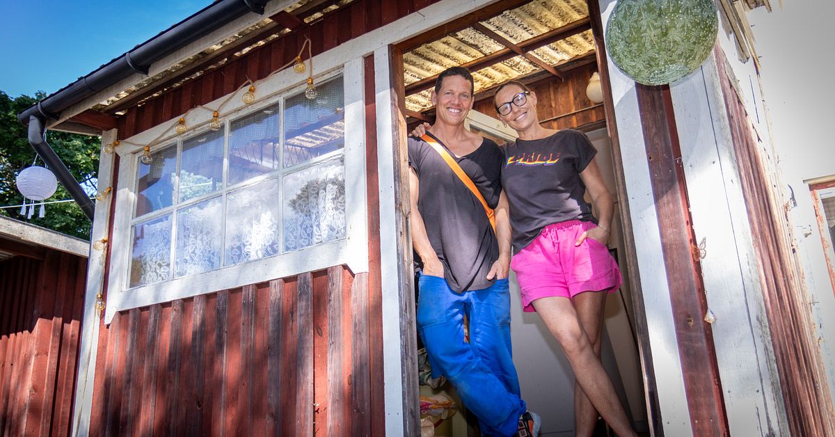 Lina och Nassim renoverar Hälsingehus: ”Oj, det är mögelskadat” | SVT Nyheter