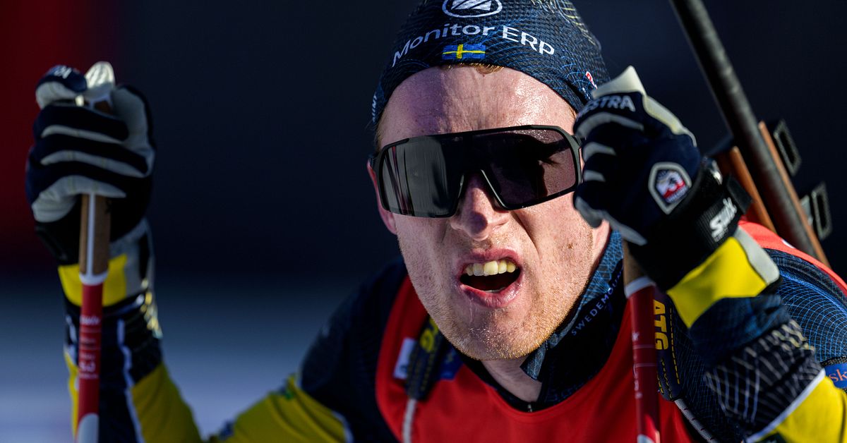 Svorskt skidskyttelexikon: Lillebror eller söta bror? | SVT Nyheter
