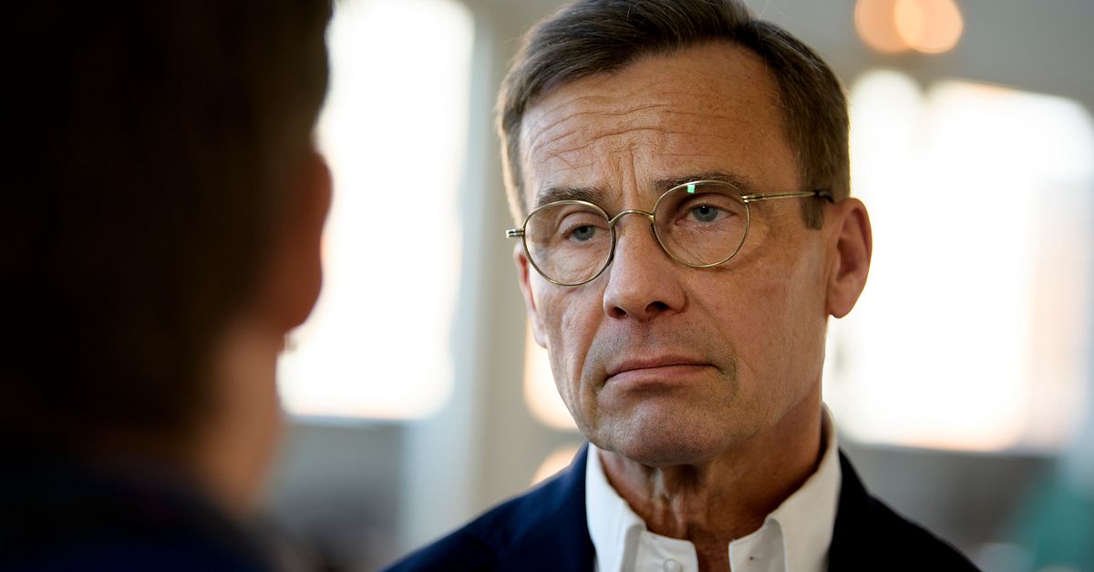 Regeringen blixtinkallar särskild grupp till mpox-möte | SVT Nyheter