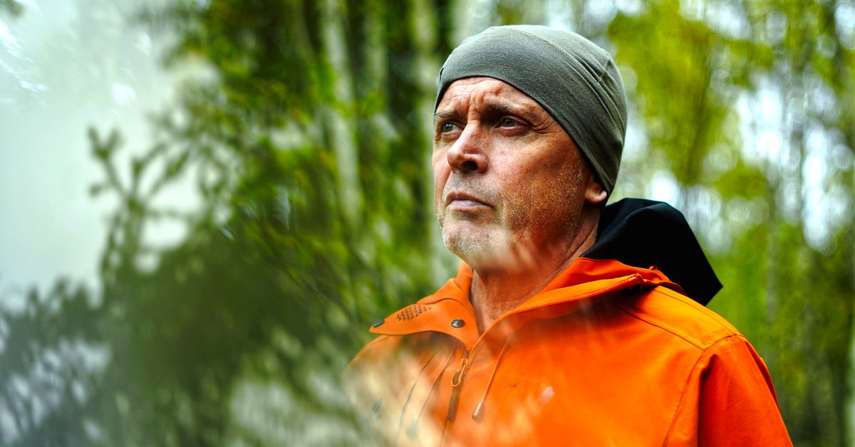 Älgjakten är igång – men målen för stammens framtid svåra att nå | SVT ...