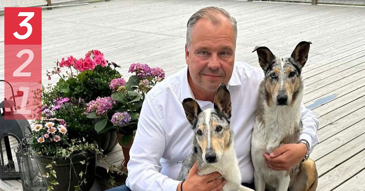 Lista: Så stoppar du en attackerande hund | SVT Nyheter