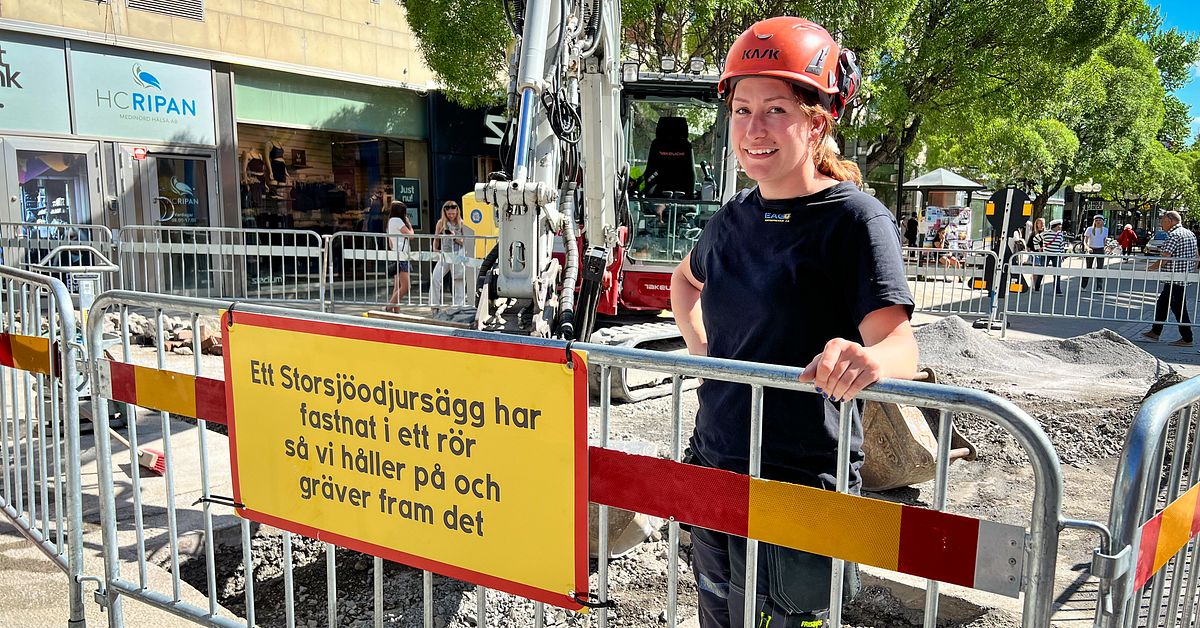 Mystisk skylt om Storsjöodjuret i Östersund väcker frågor | SVT Nyheter