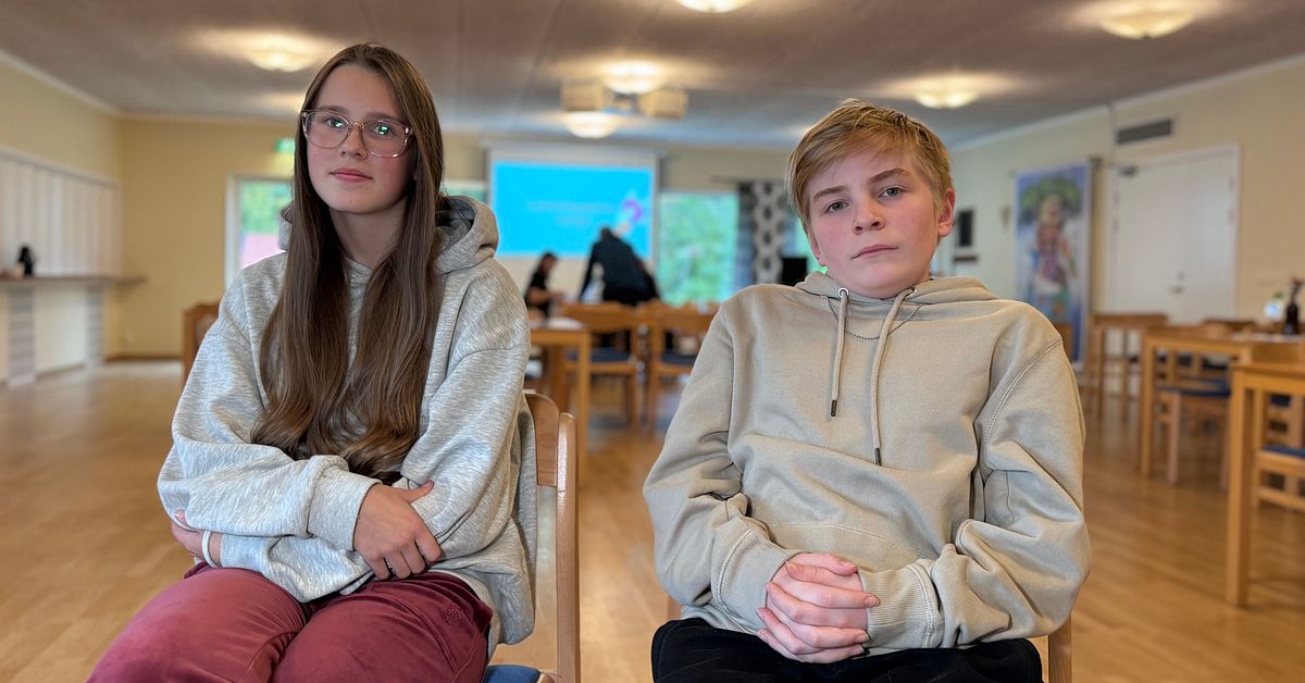 Här ska ungdomarna engageras i Mariannelund | SVT Nyheter