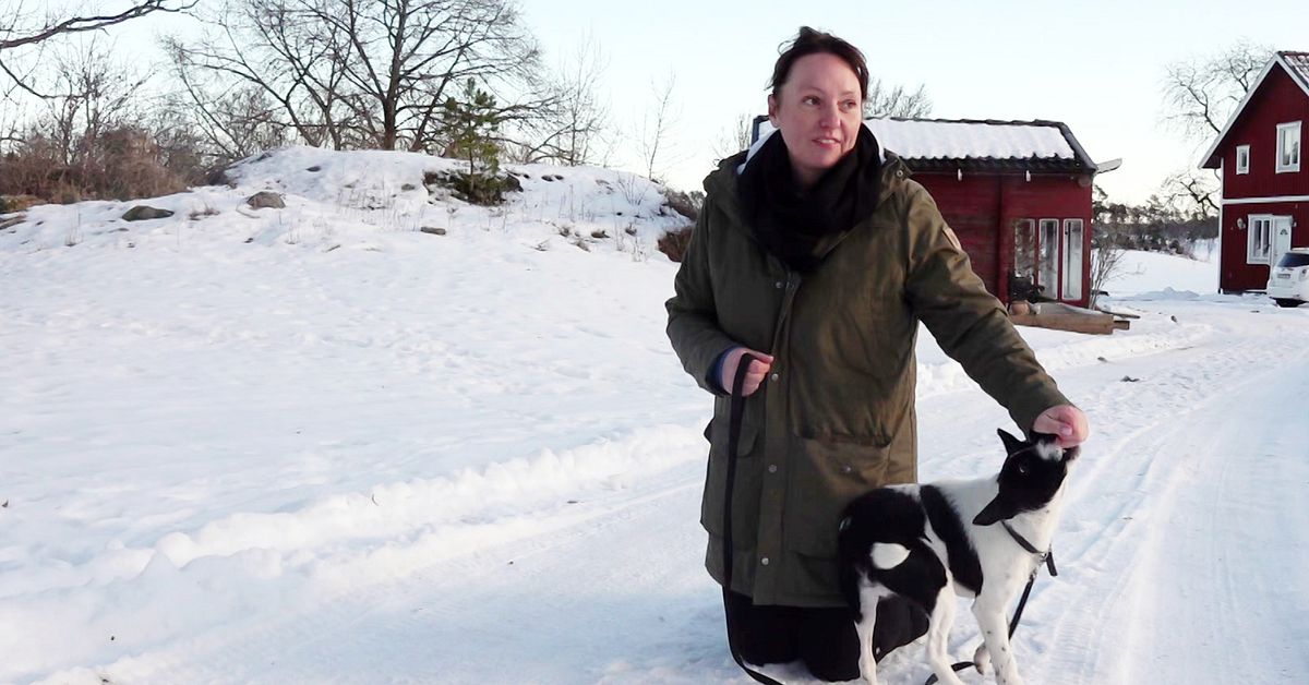 Bortlämnade hundar i allt sämre skick – ägare har inte råd med vård ...