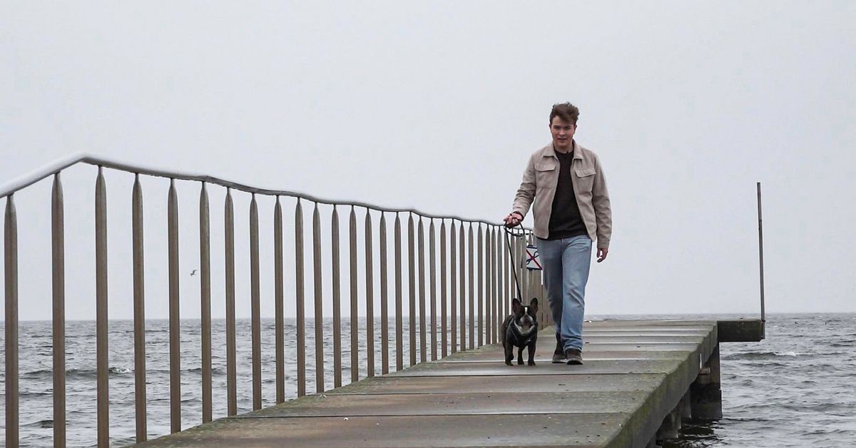 Olle Cardell mobbades i flera år – över 140 000 barn utsatta | SVT Nyheter