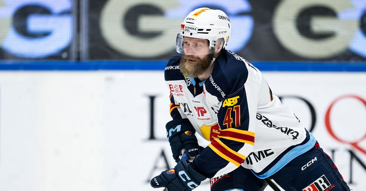 Ishockey: Senaste nytt: SHL | SVT Sport
