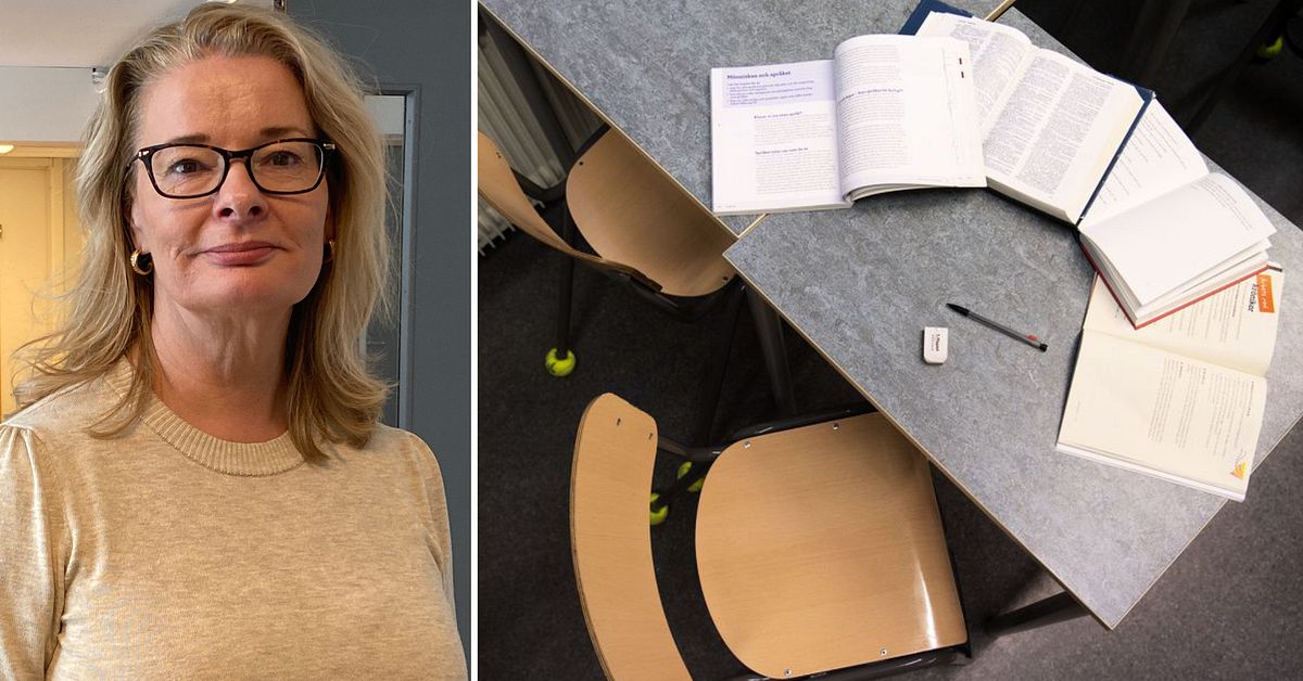 Skolans läroplan ses över – skolministern: ”Inte alltid anpassad efter små barns hjärnor” | SVT ...