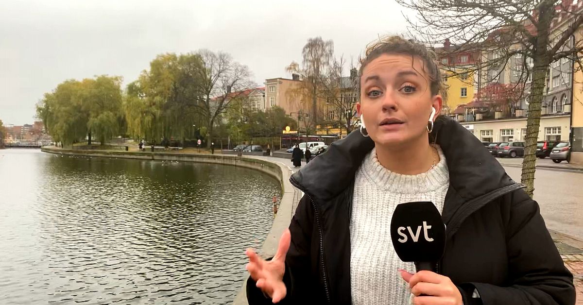 SVT:s reporter om matchning: ”Svårare om du kommer från ett land ...