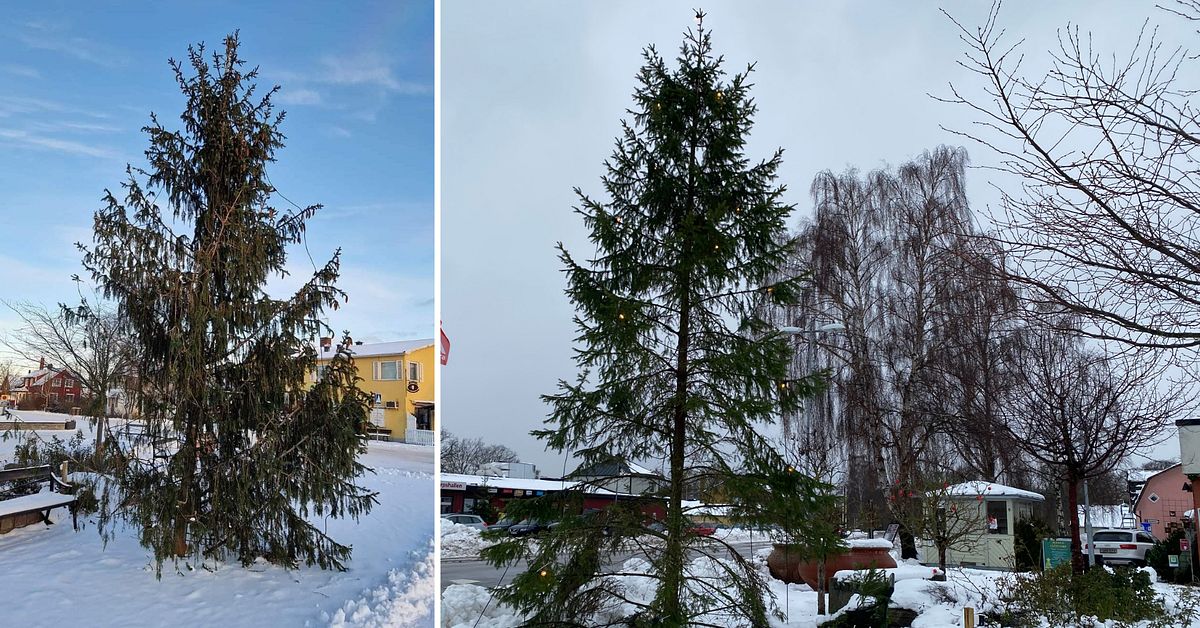 Borgholms blunder – hela bygden skrattar åt fulgranen | SVT Nyheter