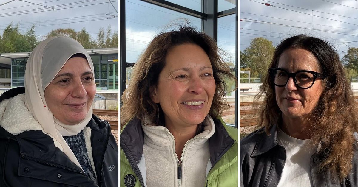 Resenärer om stoppet i Halland: ”Reste några dagar tidigare” | SVT Nyheter