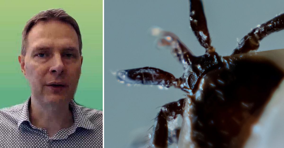 TBE-fall ökar i Sverige – här är riskområdena i Kronoberg | SVT Nyheter TBE-fall ökar i Sverige – här är riskområdena i Kronoberg | SVT Nyheter