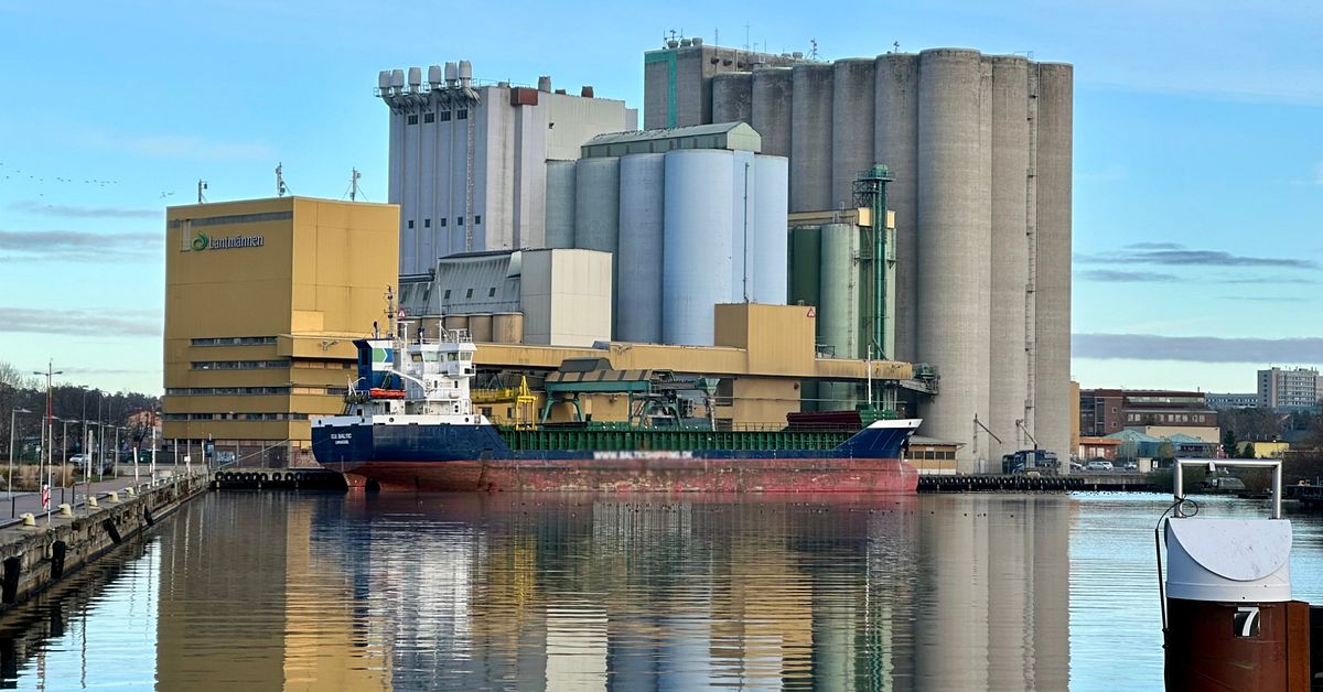 Lägenheter, konsthall, galleri – så kan silon i Västerås få nytt liv ...