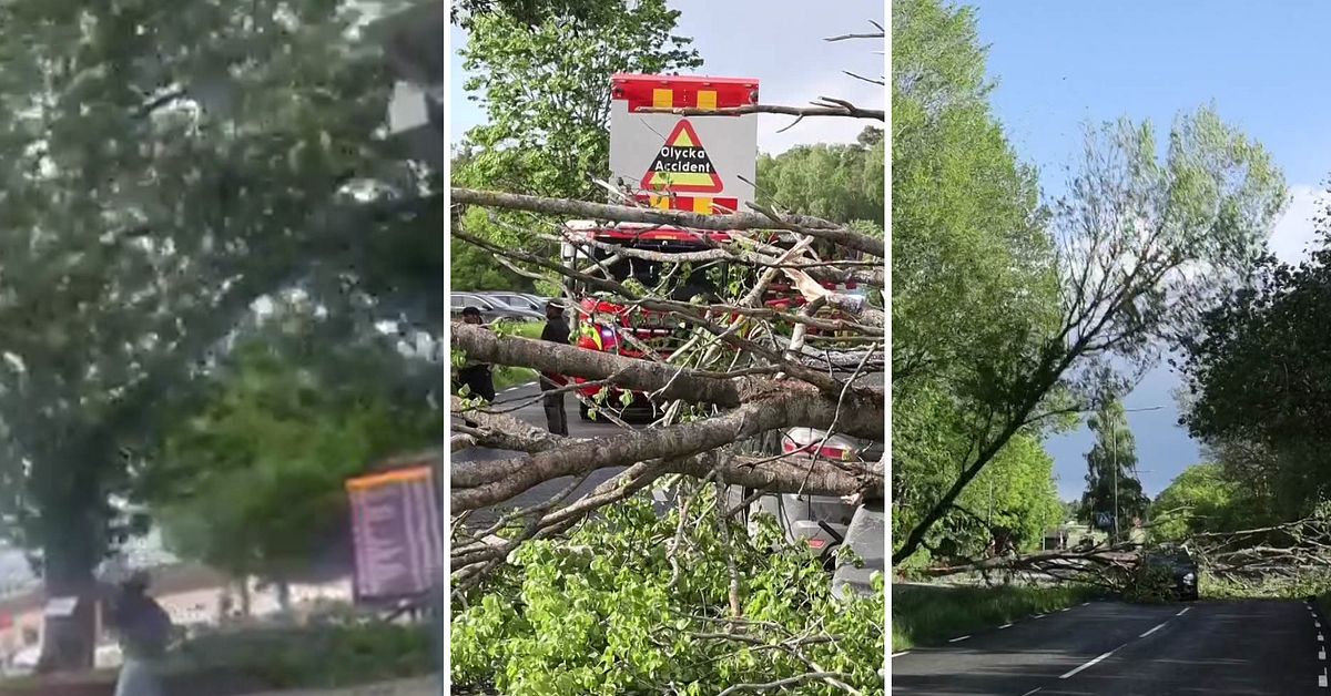 Från sol till hagel och tre ton fallna träd – därför slog vädret om så ...