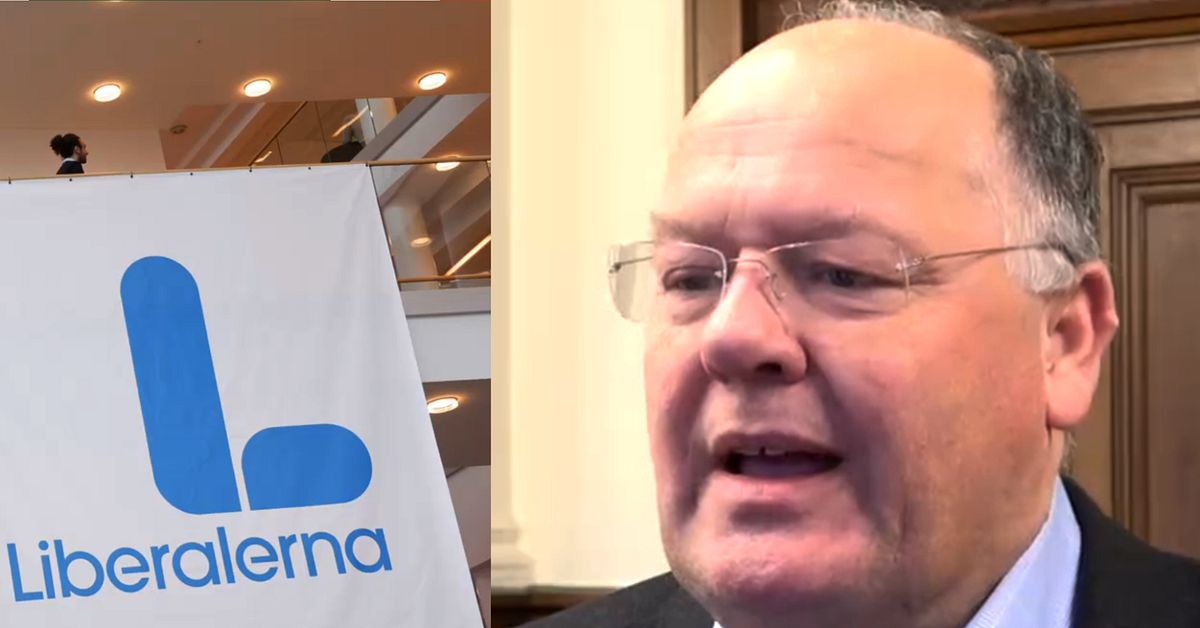 Kräftgång för Liberalerna: ”Måste sluta drivas av intern ...