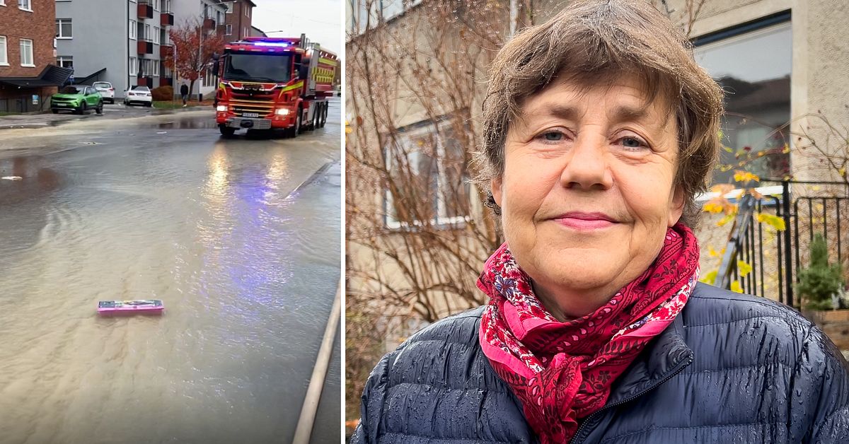Birgitta: ”Ropade att det var en flod utanför huset” | SVT Nyheter