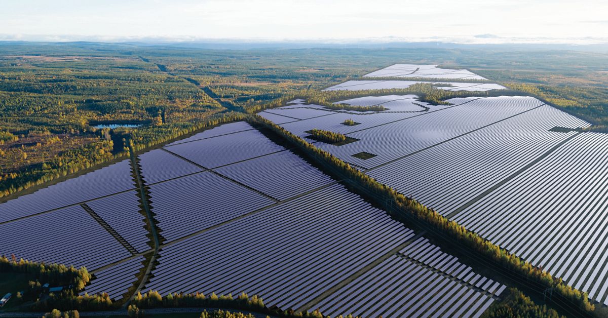 Planer för en av landets största solcellsparker i Ås | SVT Nyheter