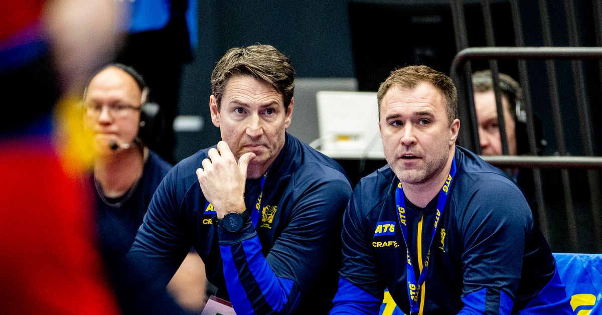 Handboll: Michael Apelgren om uppgifterna: ”Ganska rimligt” | SVT Sport