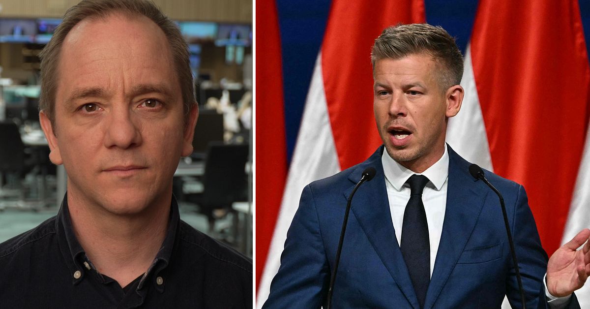 Fyra löften och en elefant – så kan Magyar förändra Ungern | SVT Nyheter