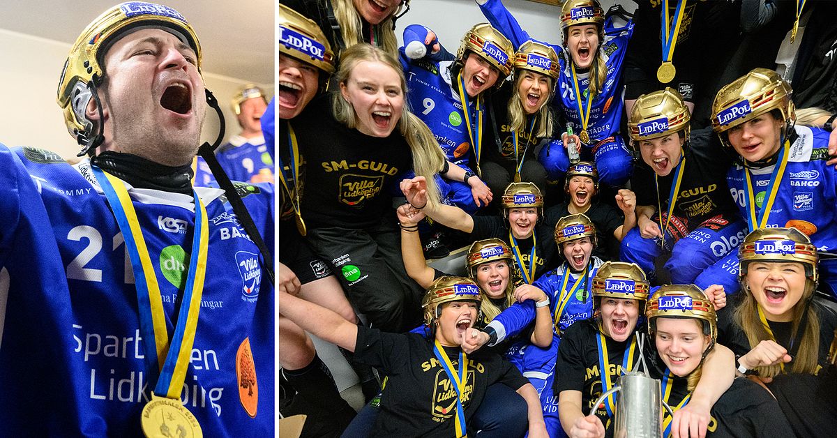 Bandy: Guide: Elitserien i bandy 2024/25 | SVT Sport