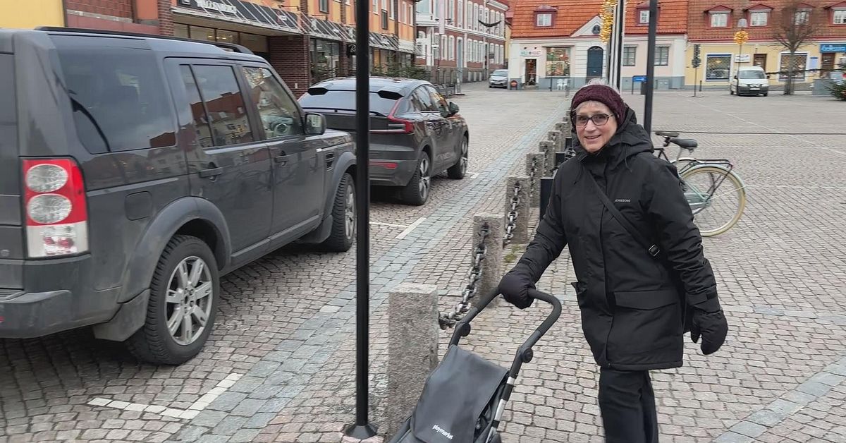 ”Vilka som styr är det viktiga” | SVT Nyheter