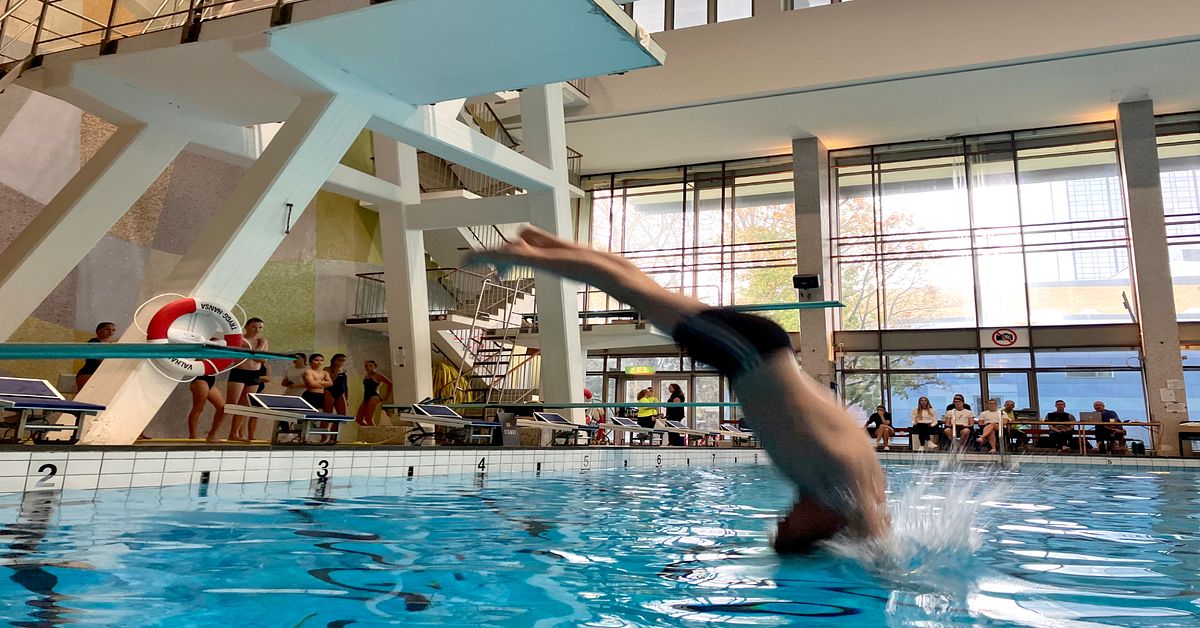 Här får unga tävla i simhopp för första gången | SVT Nyheter