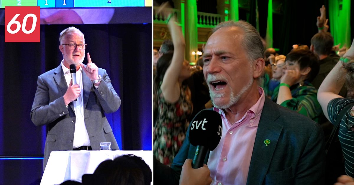 Så gick det i EU-valet 2024 | SVT Nyheter