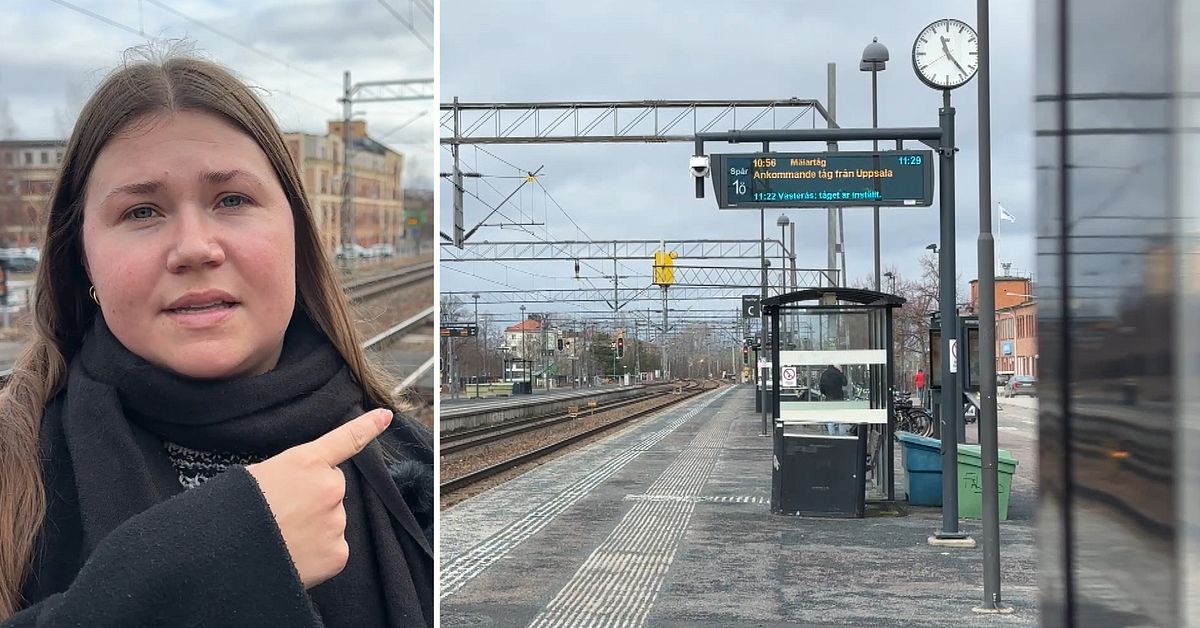 Reportern förklarar: Därför är ditt tåg försenat efter signalfel | SVT ...