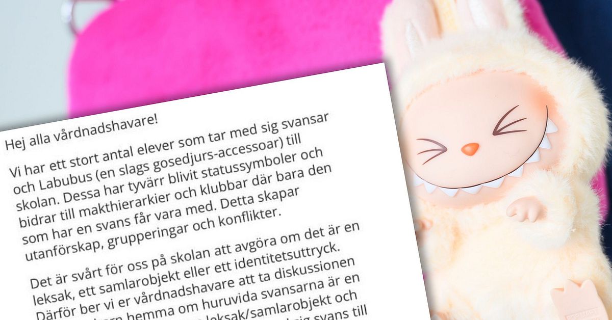 Rektorns uppmaning: Ta inte med Labubus och svansar till skolan | SVT ...