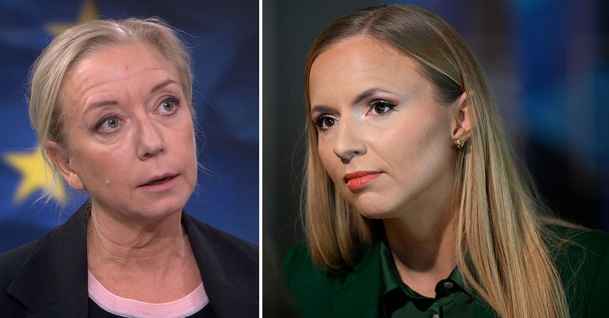 Sara Skyttedal startar eget politiskt parti | SVT Nyheter