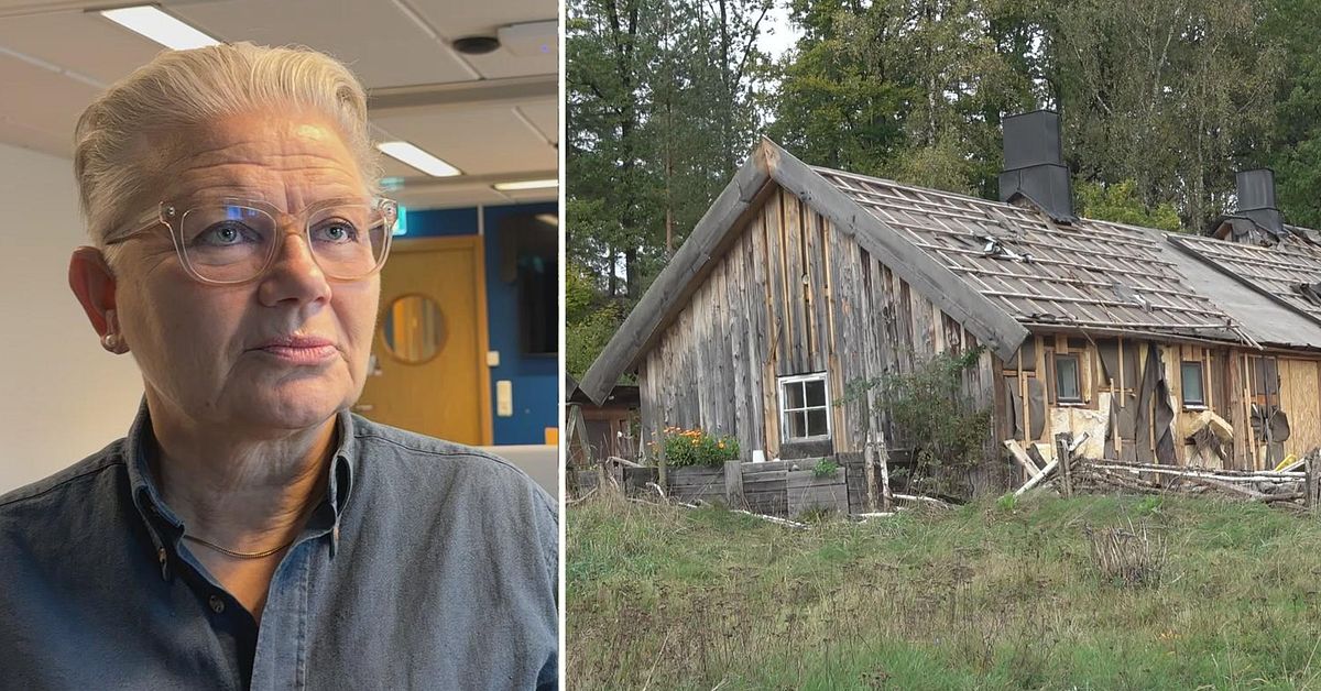 Klart: Ägarna får tillbaka vikingabyn utanför Hässleholm | SVT Nyheter