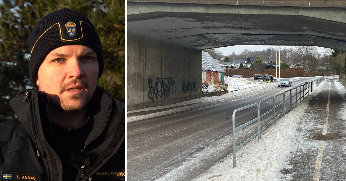 16 åring Död I Örkelljunga Två Pojkar Anhållna För Mord Svt Nyheter