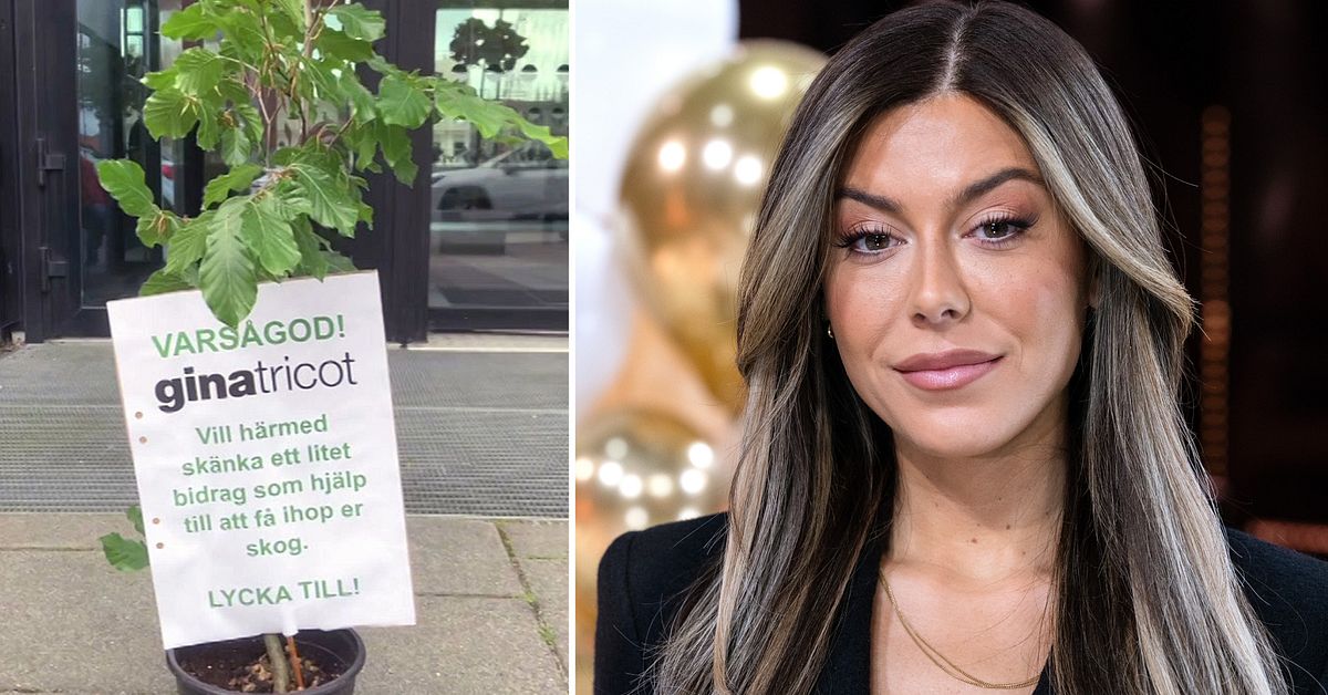 Efter avslöjandet: Följarna reagerar på Bianca Ingrossos sociala medier ...