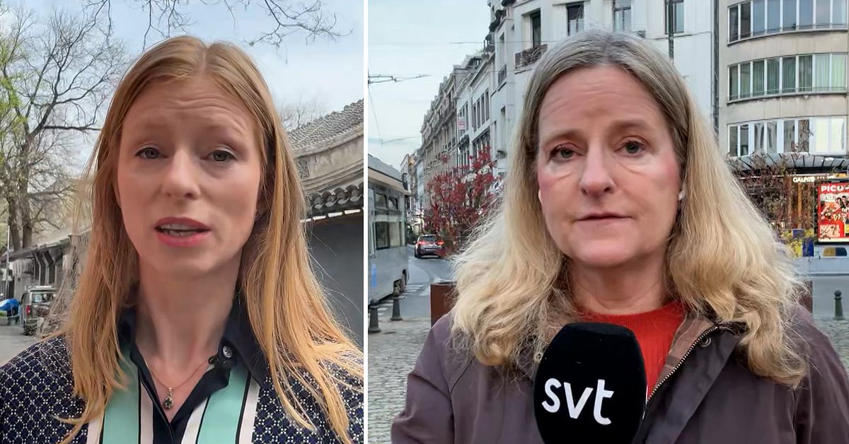 Så reagerar olika länder på tullarna – Donald Trump inför nya tullar ...